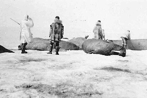 Total Observational Prowess - FightFast Blog